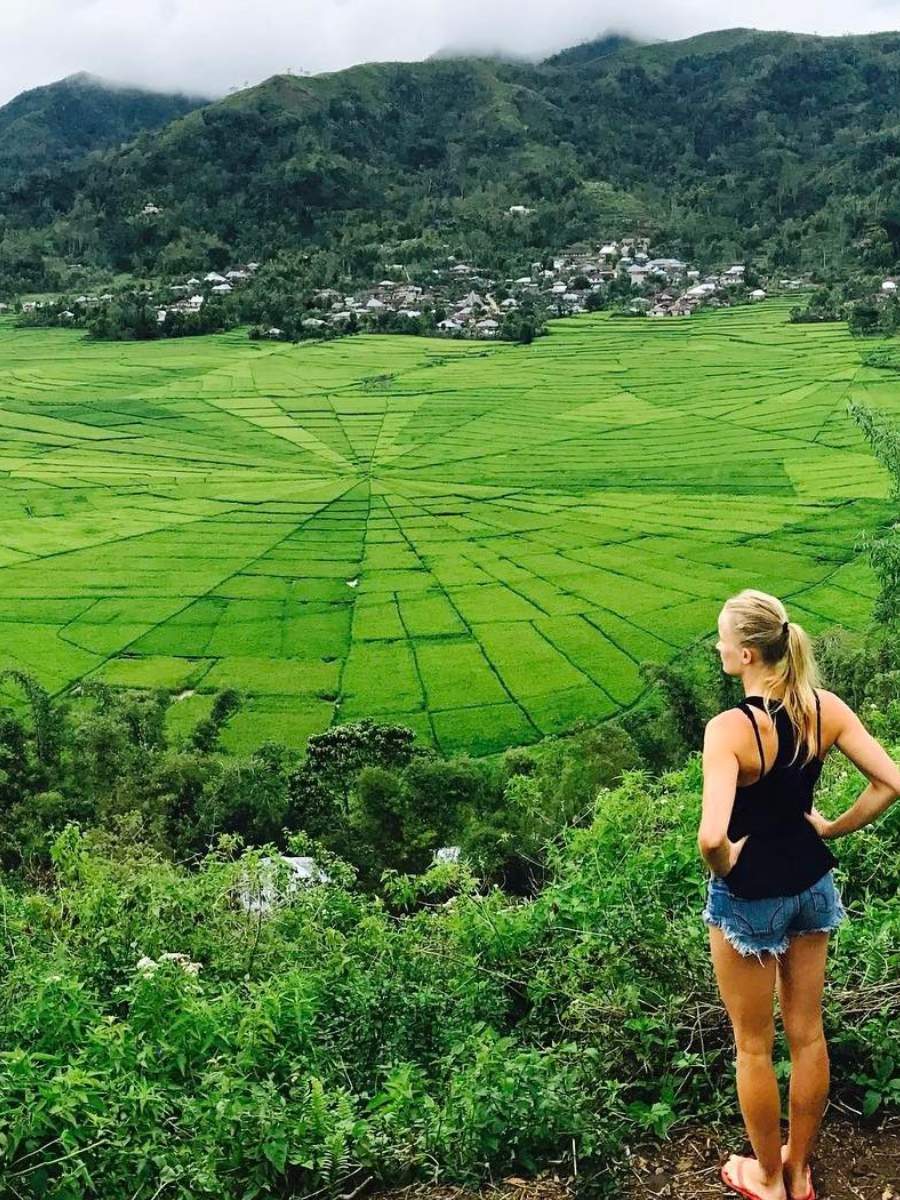 Spider Web Rice Field – Ancestral harmony in the heart of Flores ...