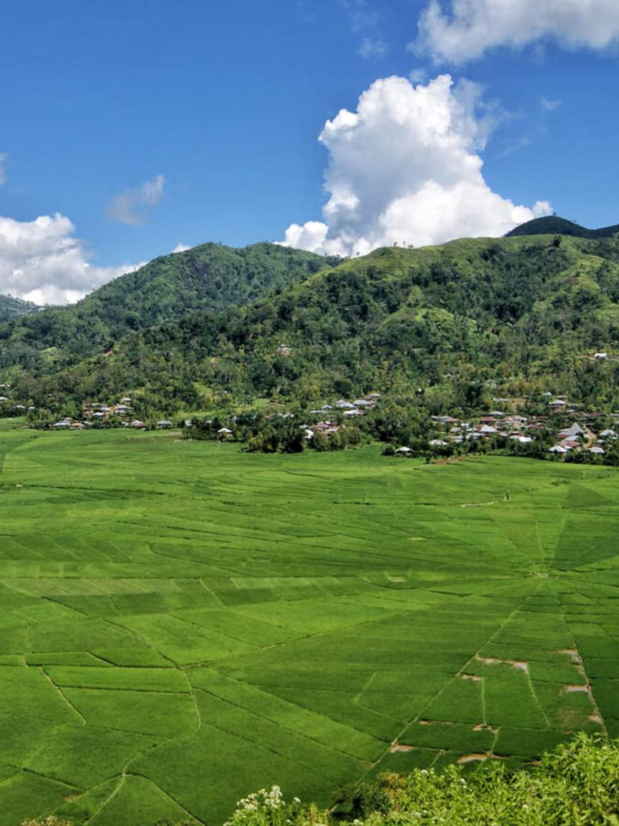 Spider Web Rice Field – Ancestral harmony in the heart of Flores ...