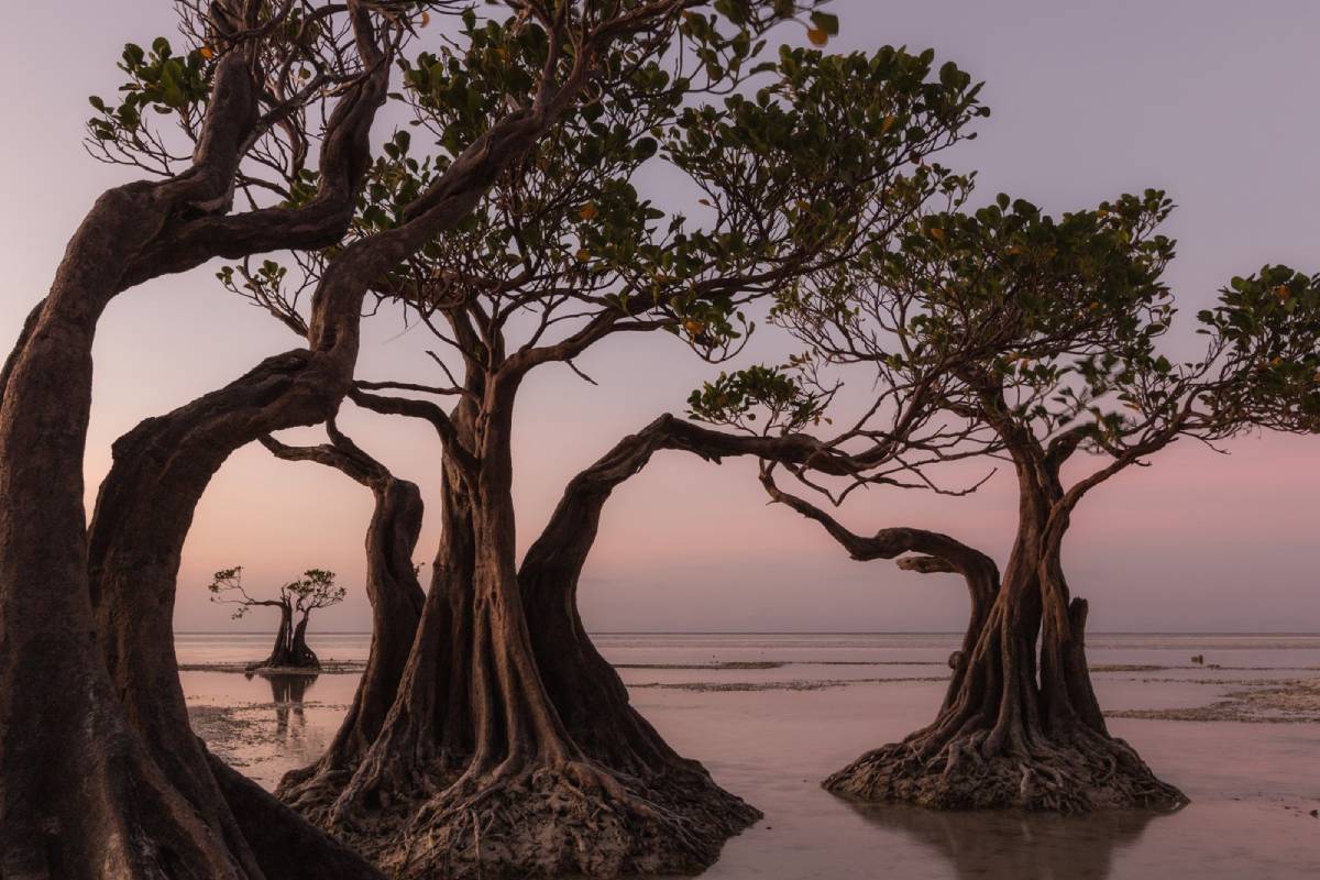 Sumba Beaches – From sunset silhouettes to cliffside seclusion - DISKOVERA